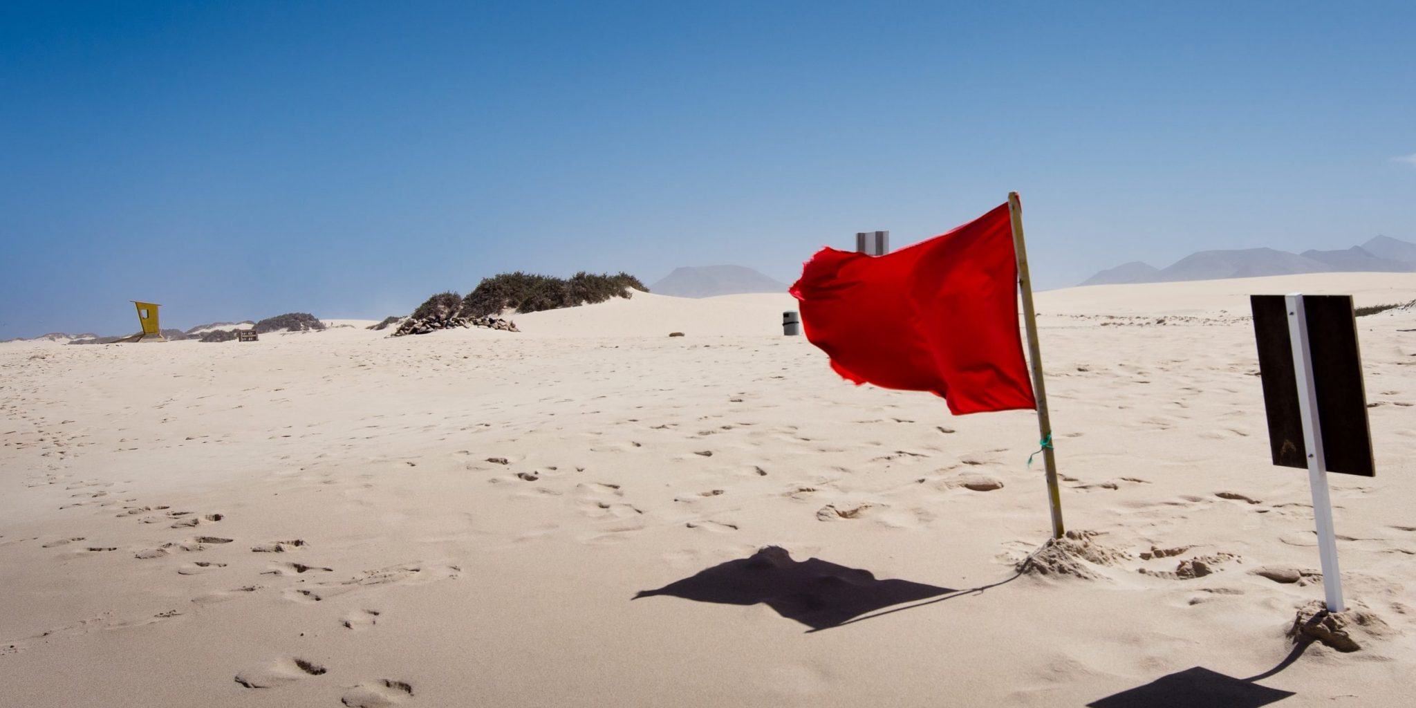 what-causes-a-red-flag-on-a-background-check-background-screening-private-eyes